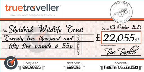 Giant Cheque – Prop & Fake Notes